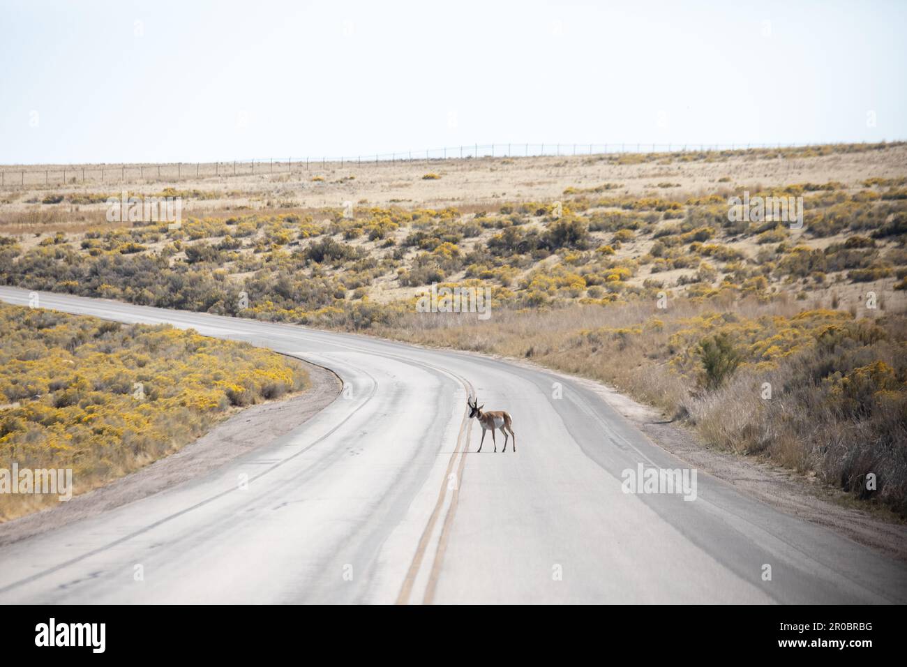 Antelope island state park sign hi-res stock photography and images - Alamy
