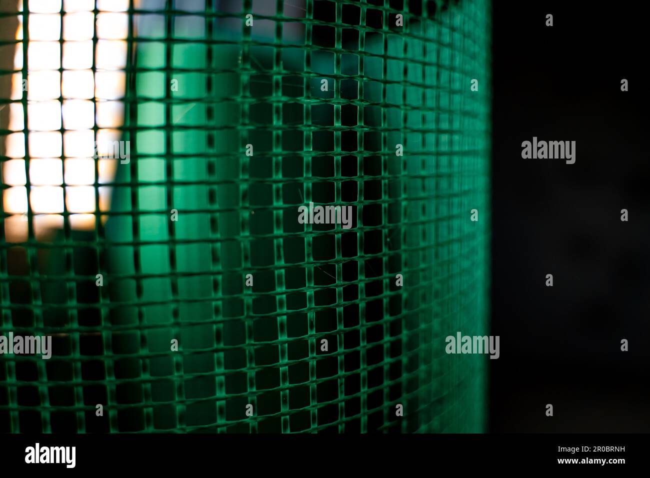 Green reinforcing mesh close-up. Facade fiberglass mesh on a blurred ...