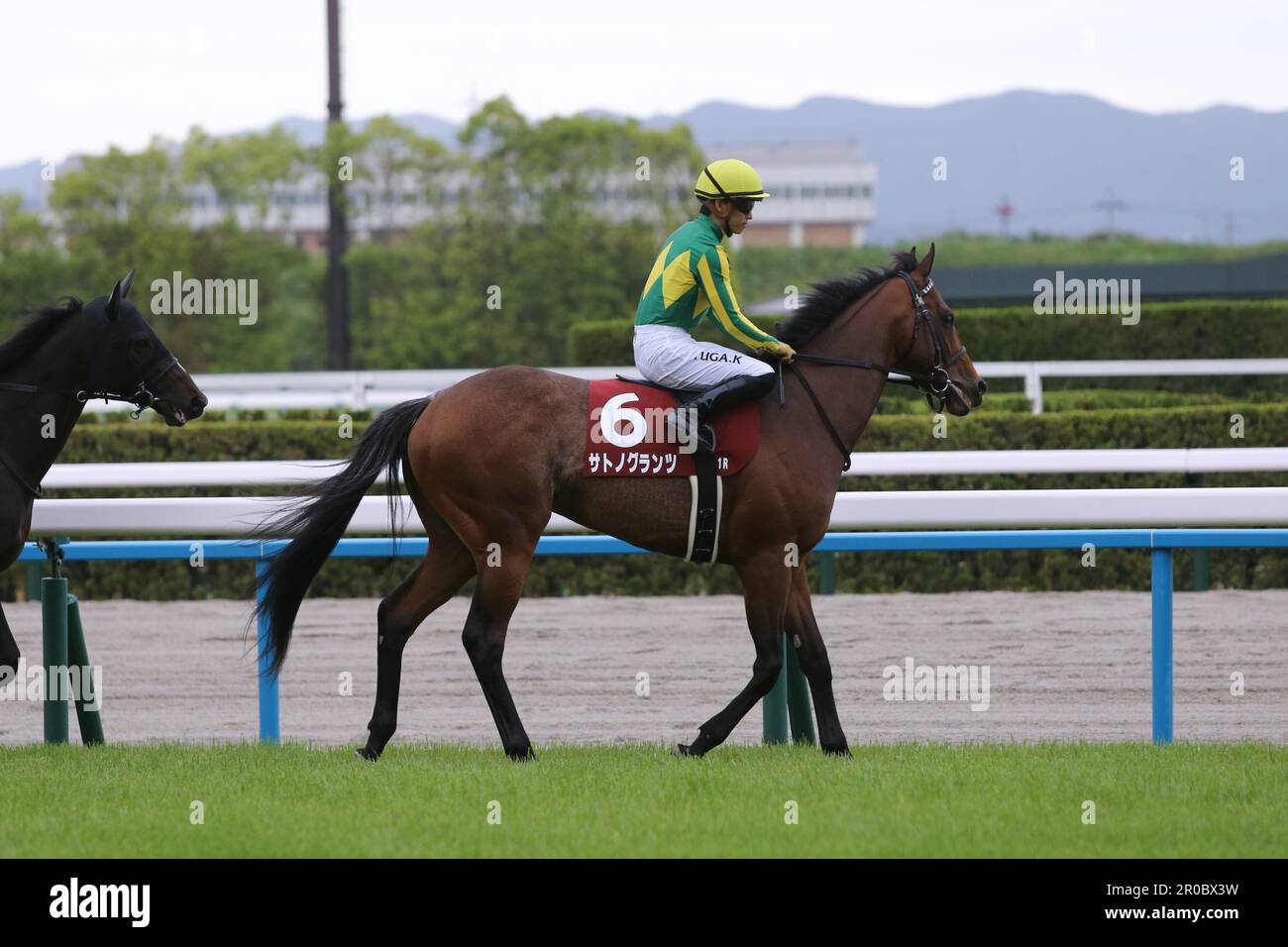 Kyoto, Japan. 6th May, 2023. Satono Glanz and Yuga Kawada before the ...