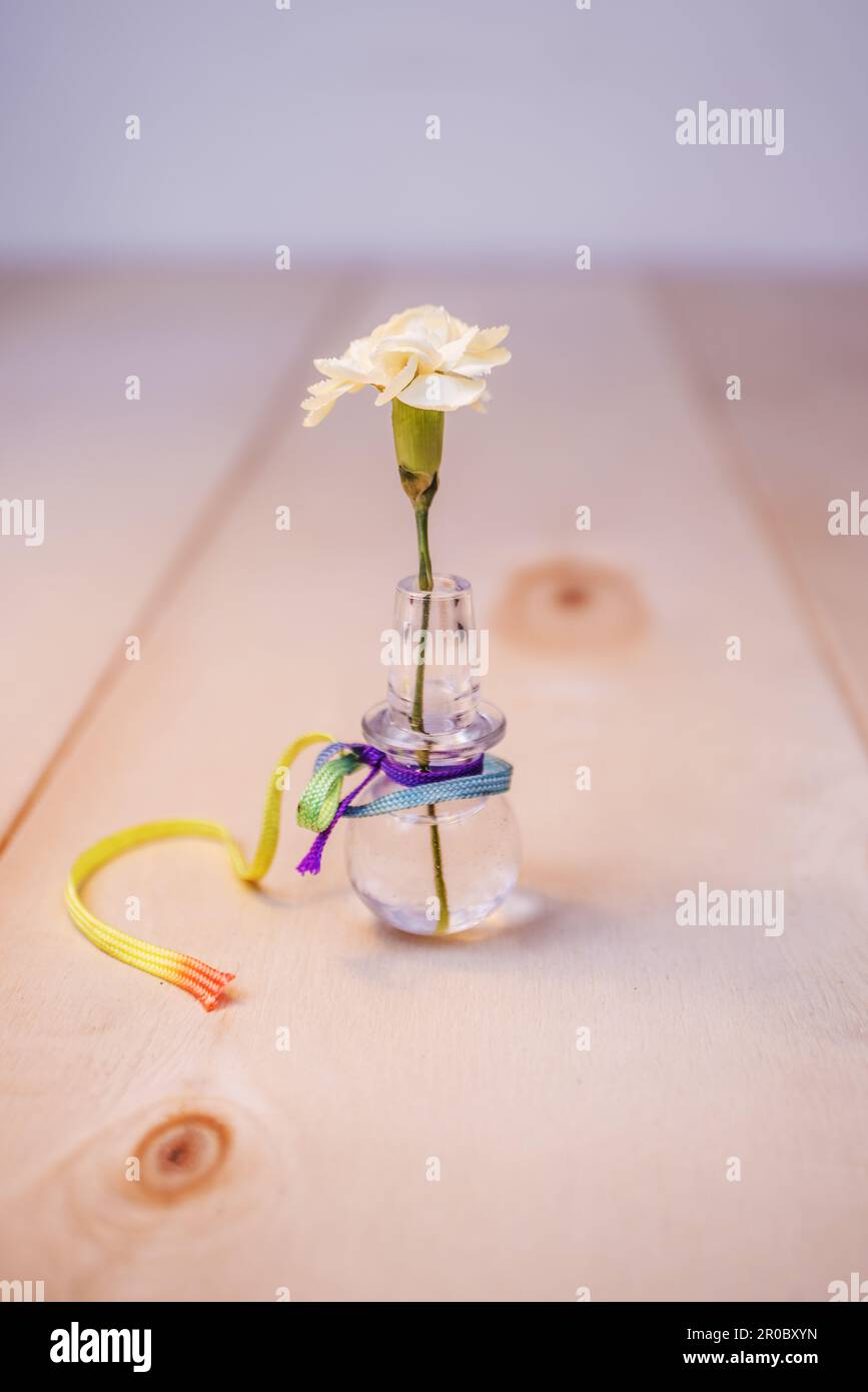 A carnation inside a small glass container with diffused colors Stock ...