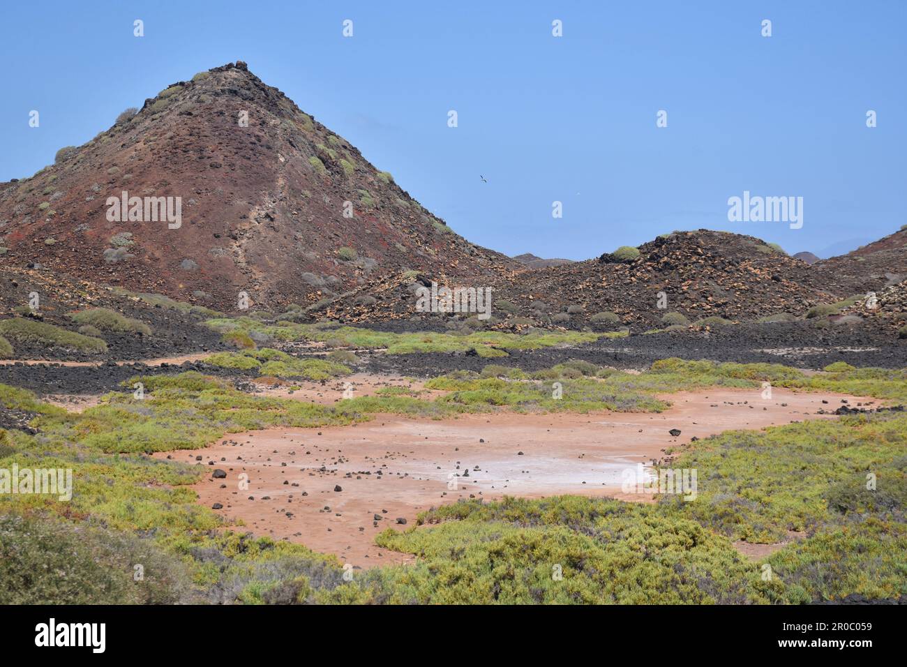 Colorful salt flat among rocky volcanic hills on the small island Isla ...