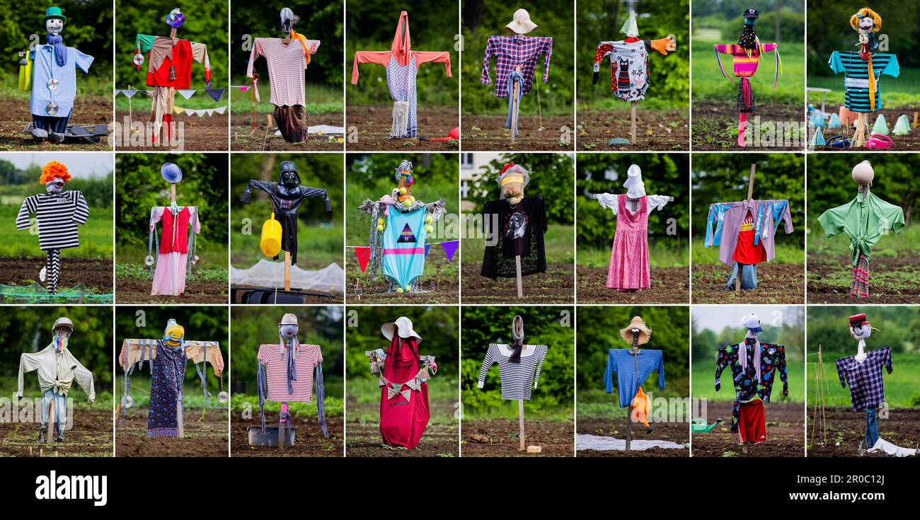 Cologne, Germany. 08th May, 2023. Scarecrows in different costumes ...