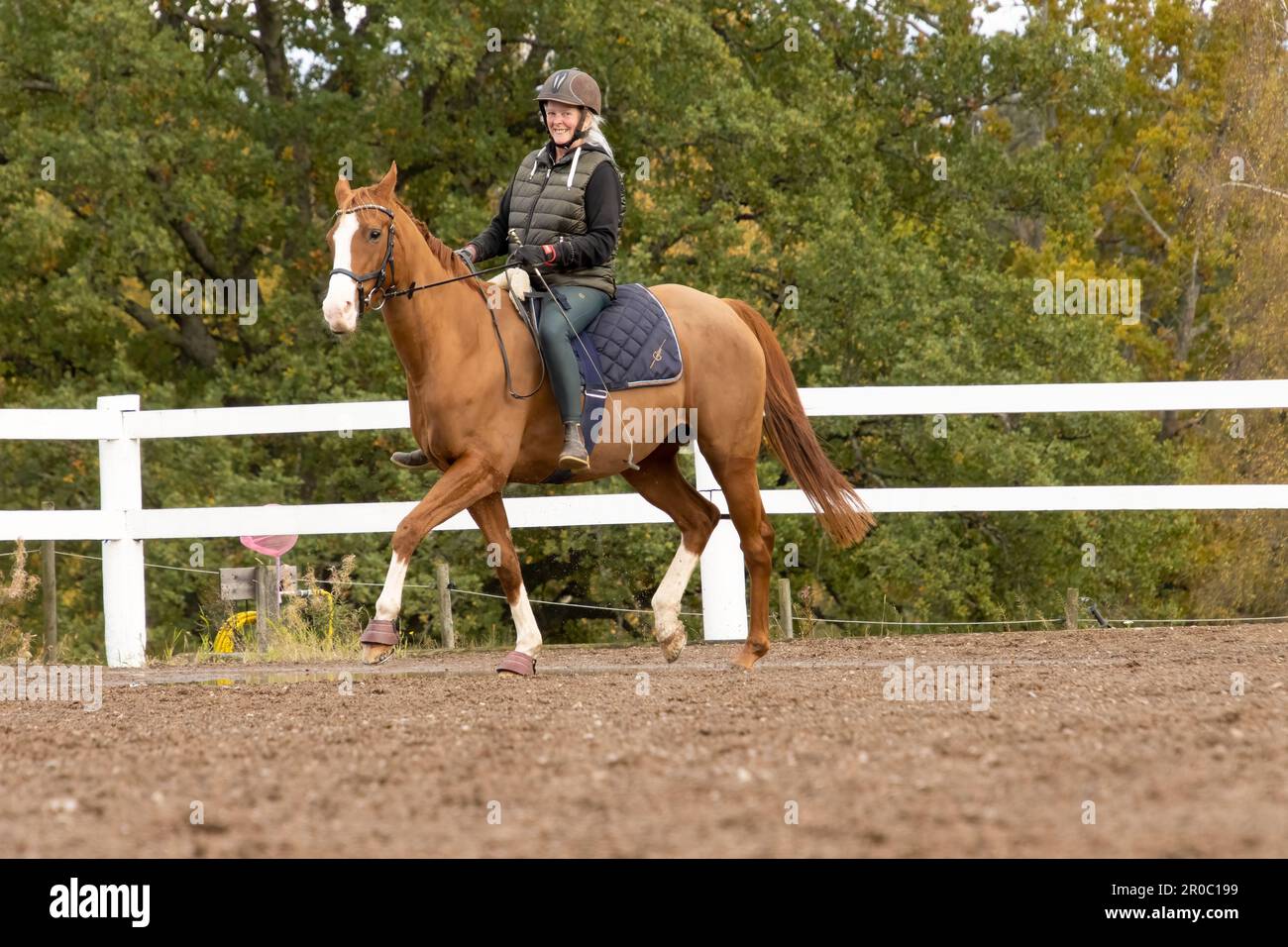 Women riding a horse in a paddock in Sweden. They are training her ...