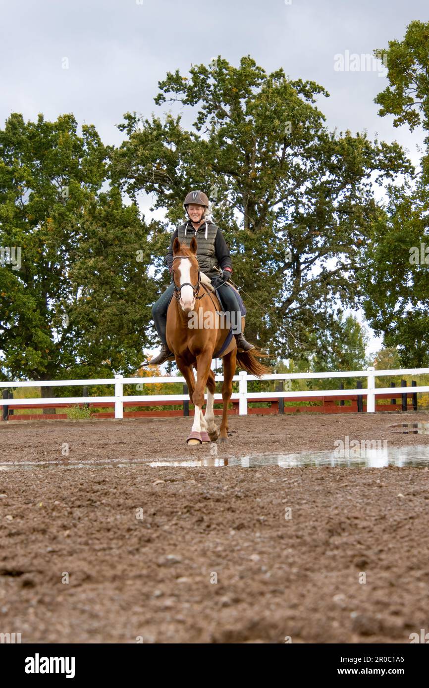 Women training her horse in horse dressage in a paddock a rainy day ...
