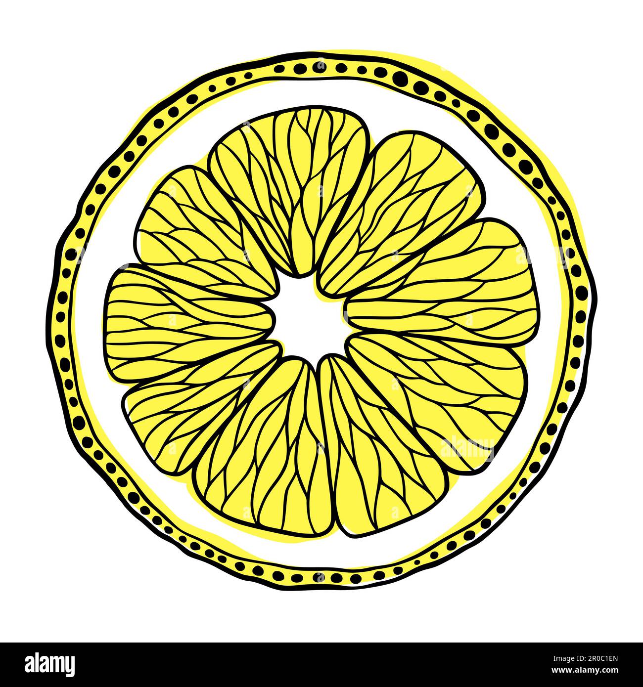 Hand drawn lemon etching. Outline citrus fruit engraving isolated on white background. Vector ...