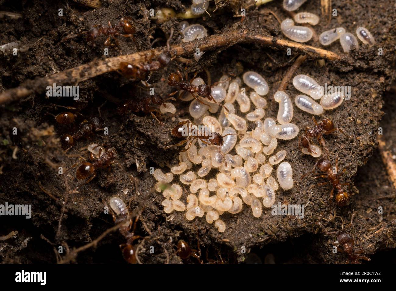Tunstall hills hi-res stock photography and images - Alamy