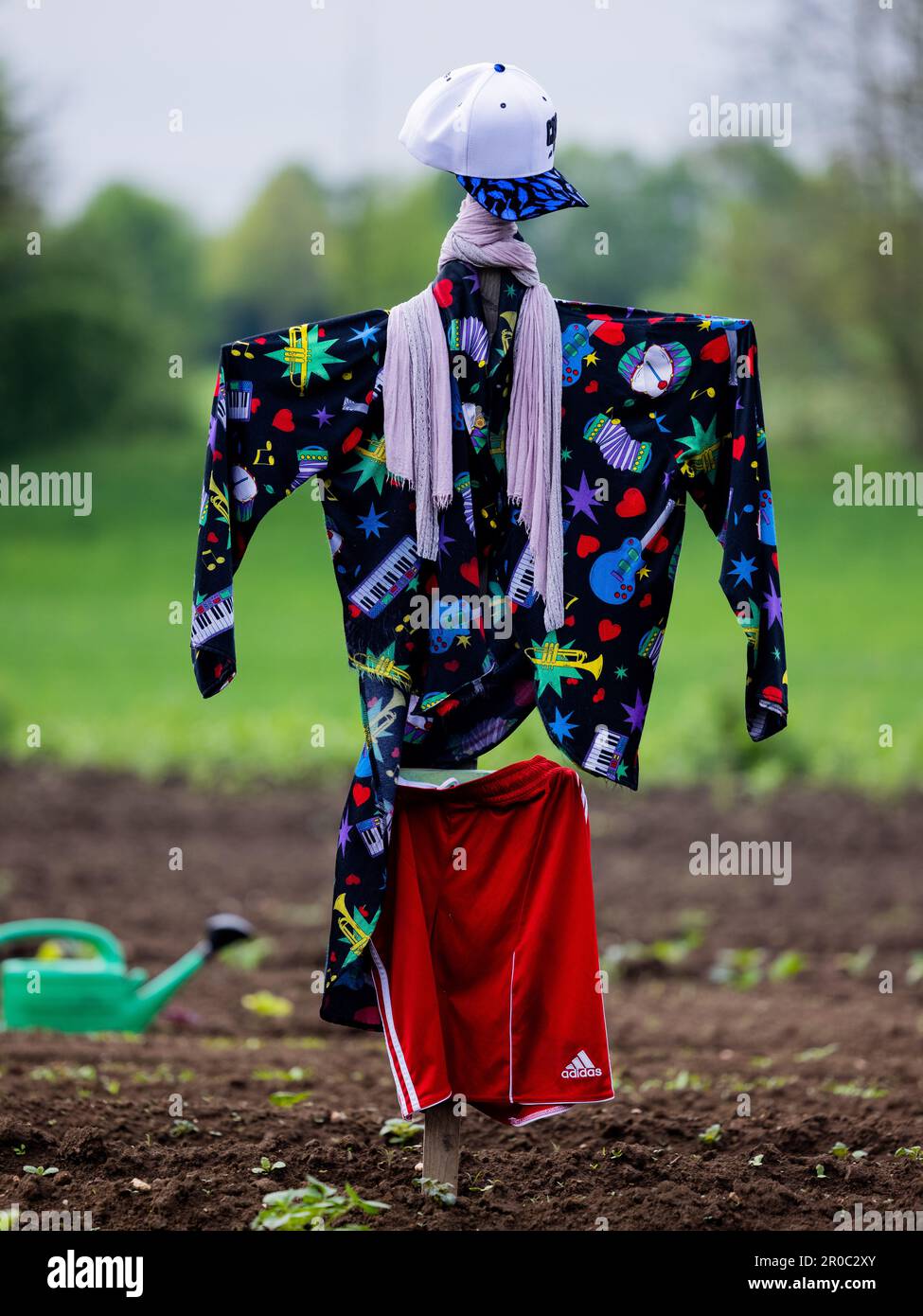 Vegetable guards hi-res stock photography and images - Alamy