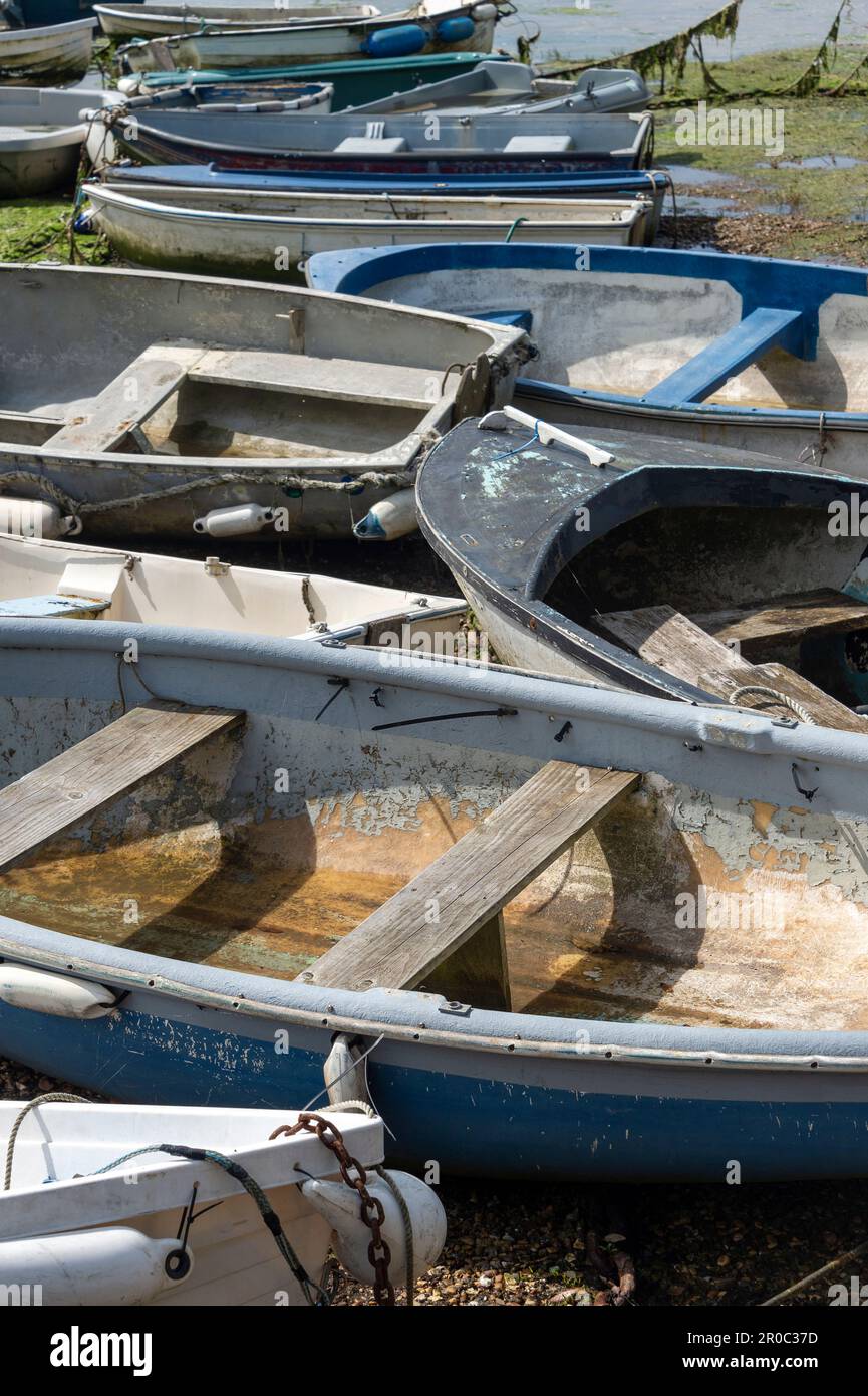 Several small rowing boats tied up on the shore Stock Photo - Alamy
