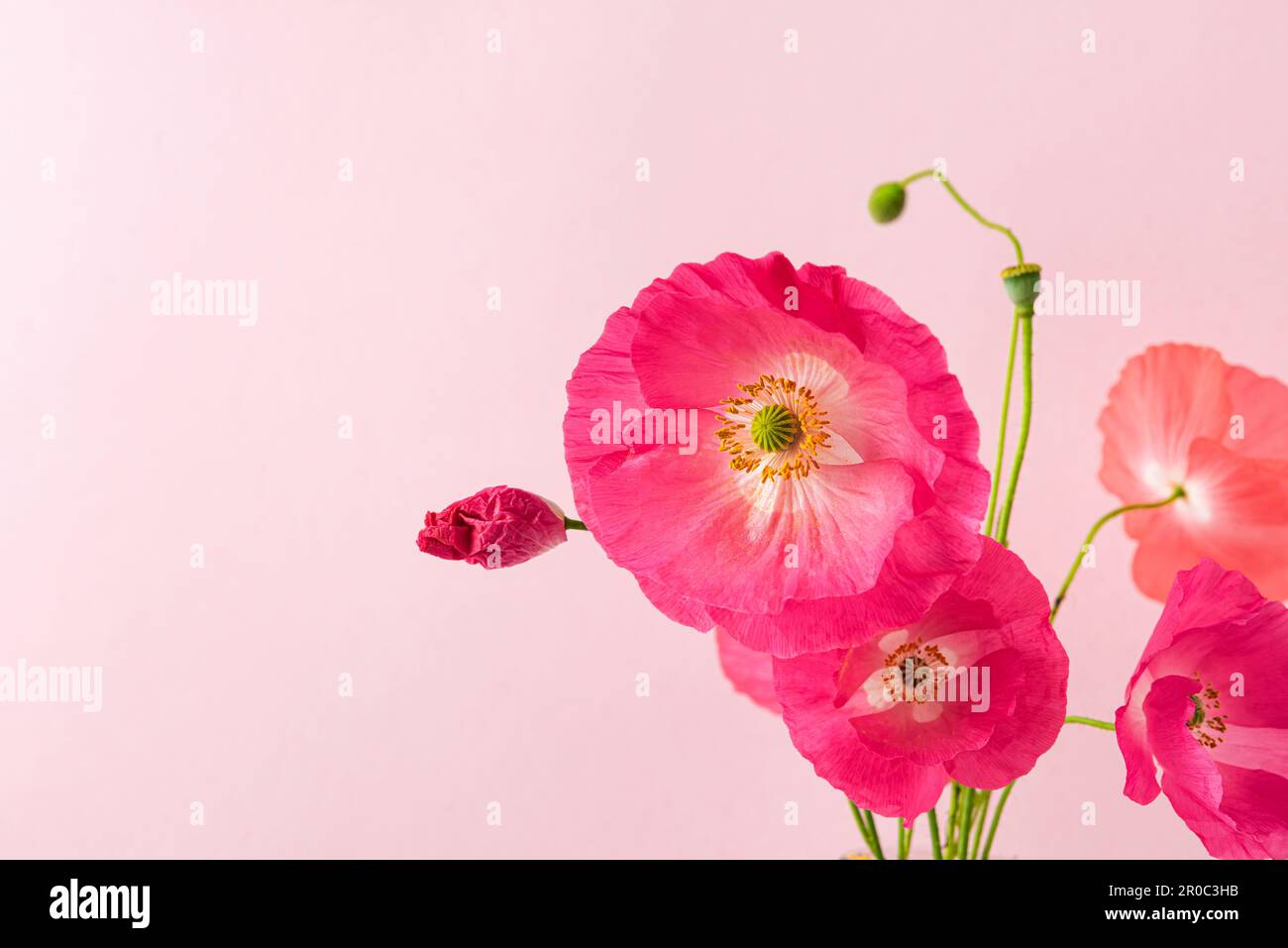 Pink poppy flowers bouquet on pastel pink background. Wedding card with ...