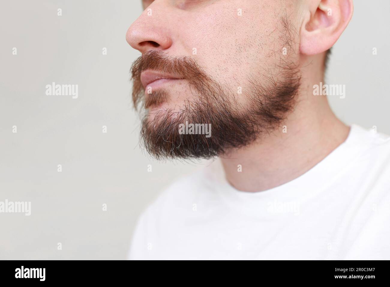 Cropped photo of bearded man first gray hairs on overgrown shaggy beard ...