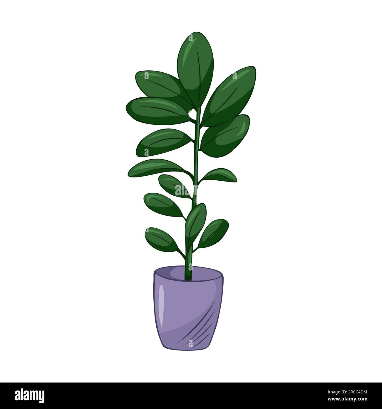 Hand drawn cute summer illustration of growing ficus in pot. Flat ...