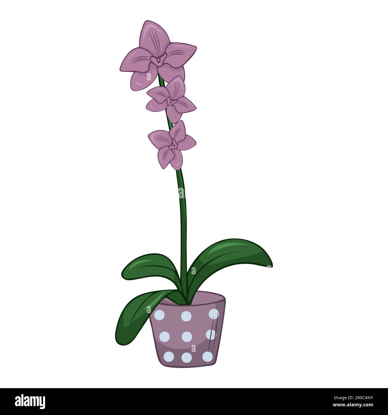 Hand drawn cute summer illustration of growing orchid in pot. Flat ...