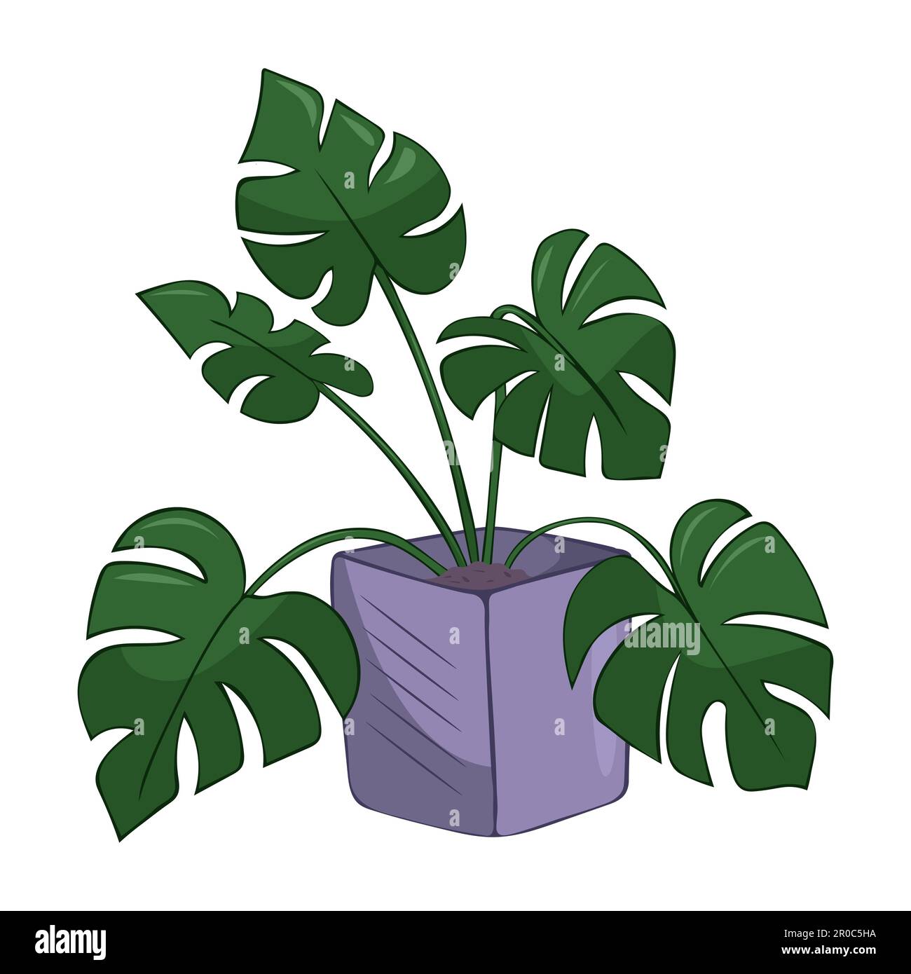 Hand drawn cute summer illustration of growing monstera in pot. Flat ...