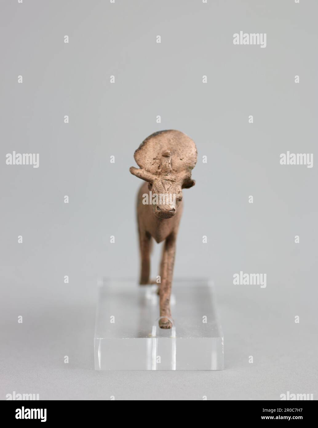 Apis Bull. Ancient Egypt, Late Period. The bull is wearing disk with ...