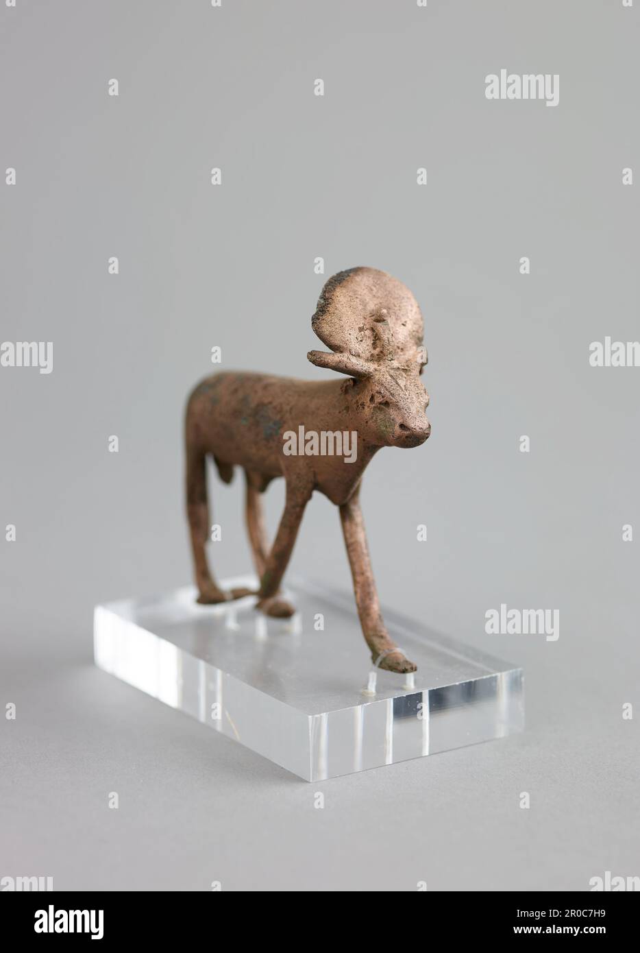 Apis Bull. Ancient Egypt, Late Period. The bull is wearing disk with ...