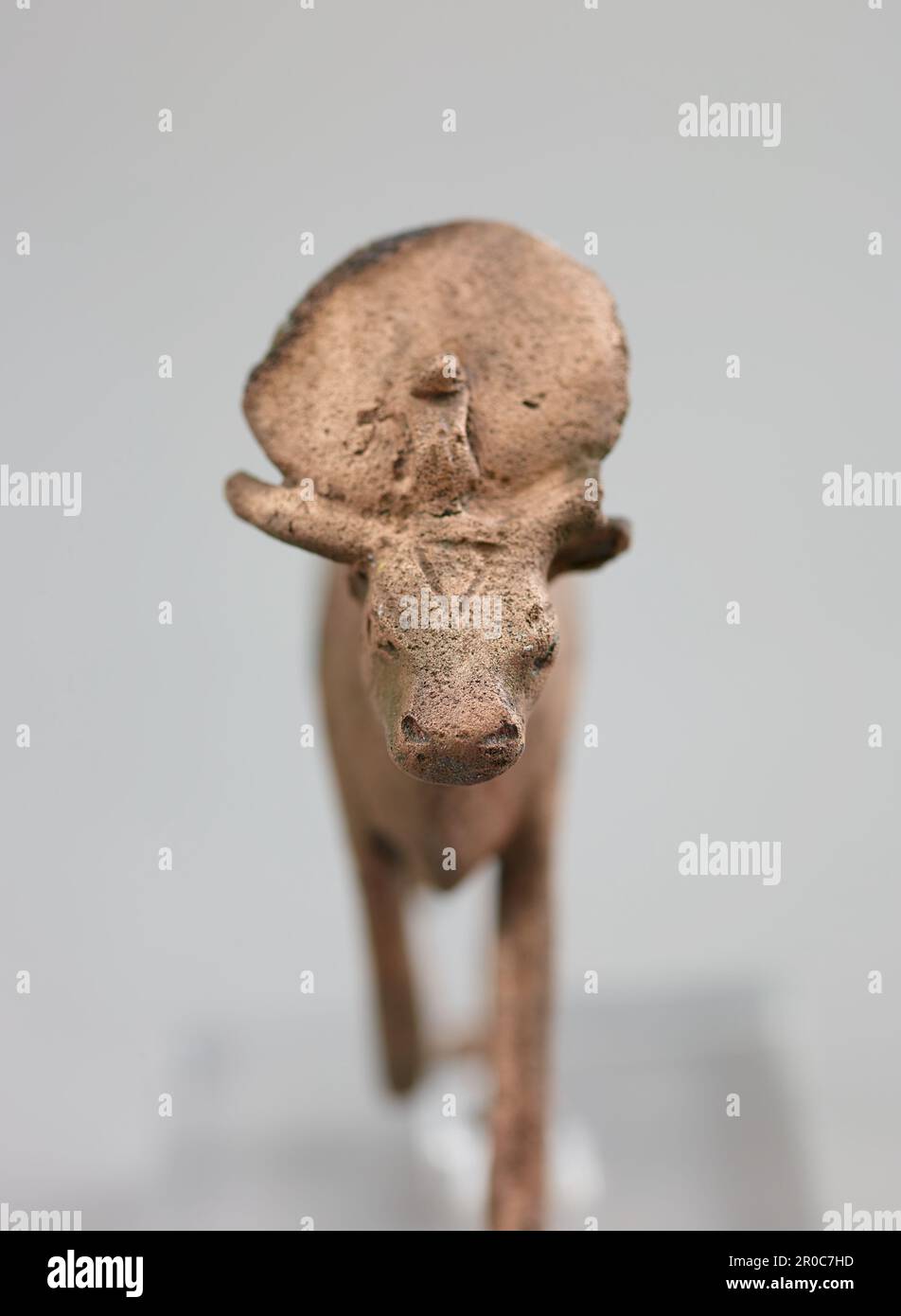 Apis Bull. Ancient Egypt, Late Period. The bull is wearing disk with ...