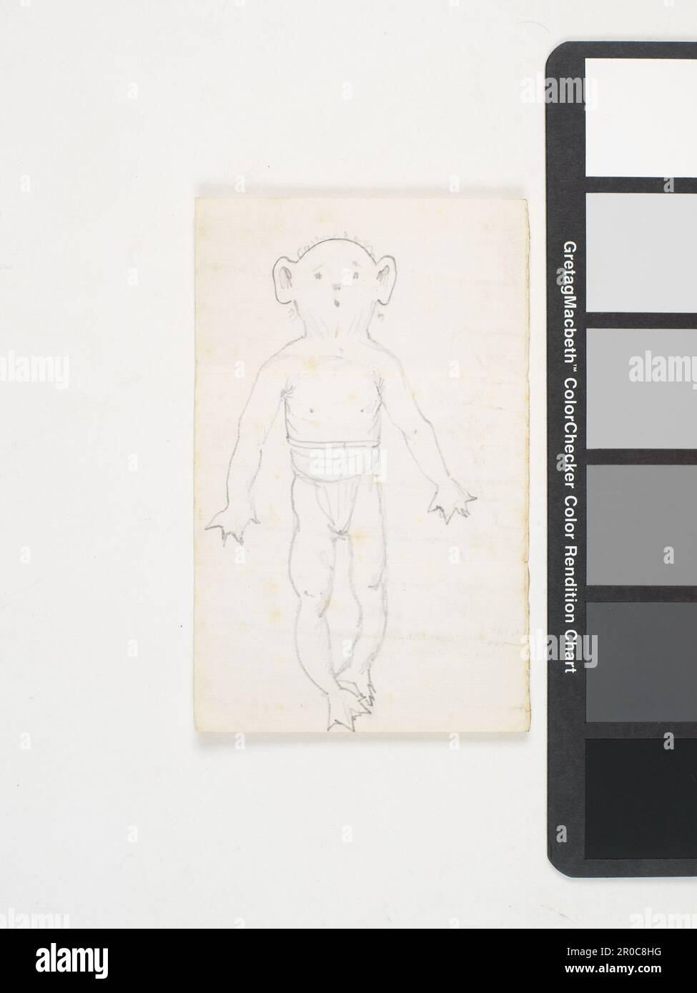 Caricature - Goblin Wrestler, 1980-85. Sir Edward Burne-Jones Stock ...