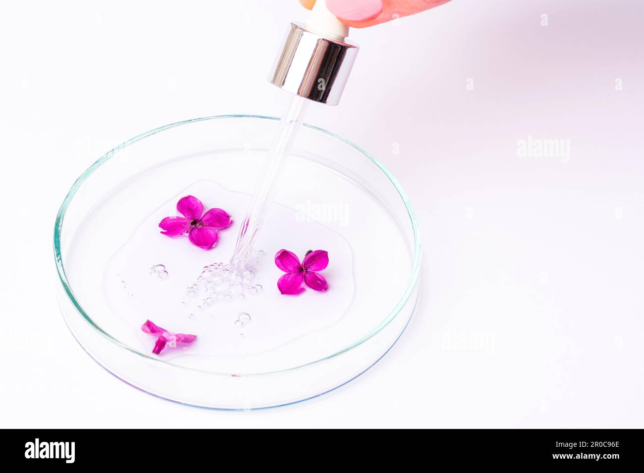 Closeup of pipette with serum, oil, gel with lilac flowers on white ...