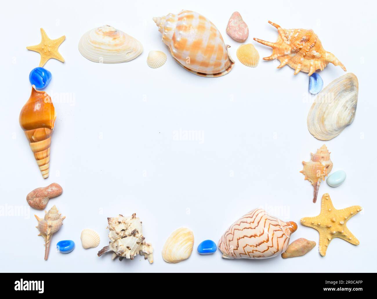 Mock up frame with collection of seashells, starfish and sea stone with ...