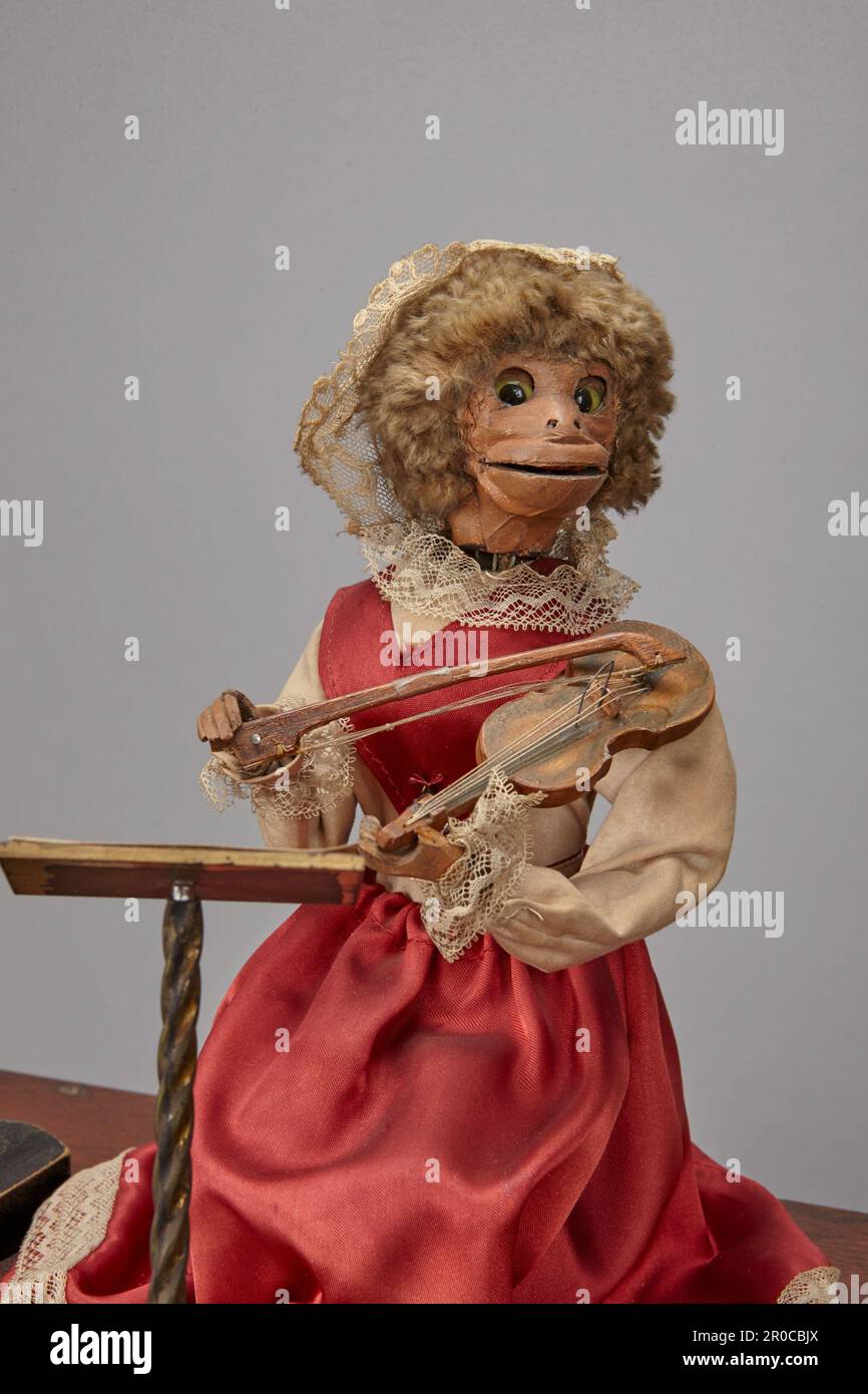 Violin playing monkey hi-res stock photography and images - Alamy