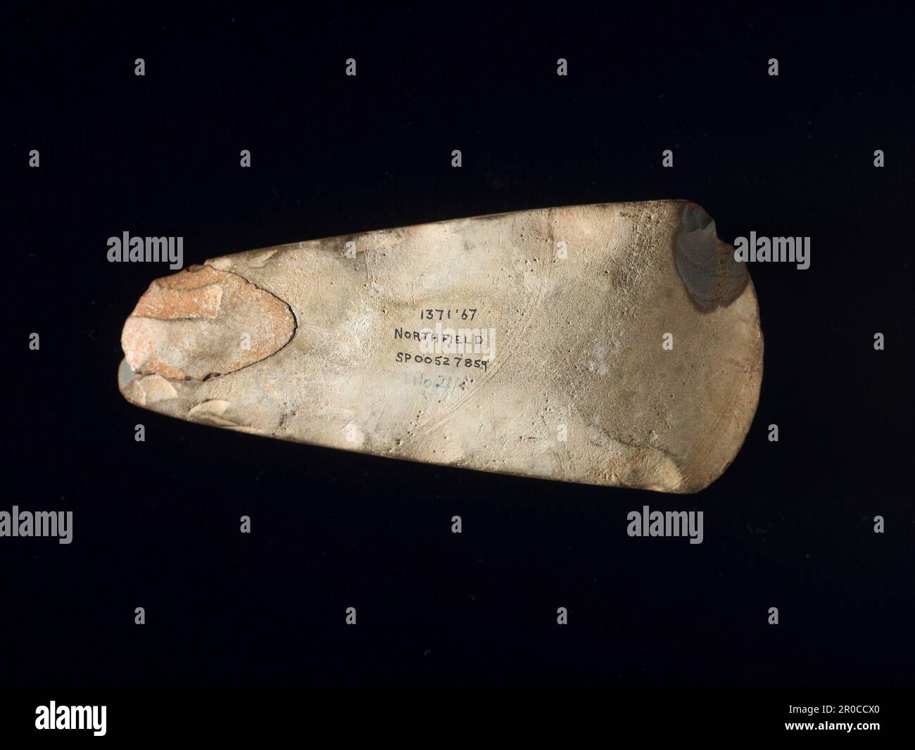 Axe, Neolithic period. From a site in Worcestershire, UK Stock Photo ...