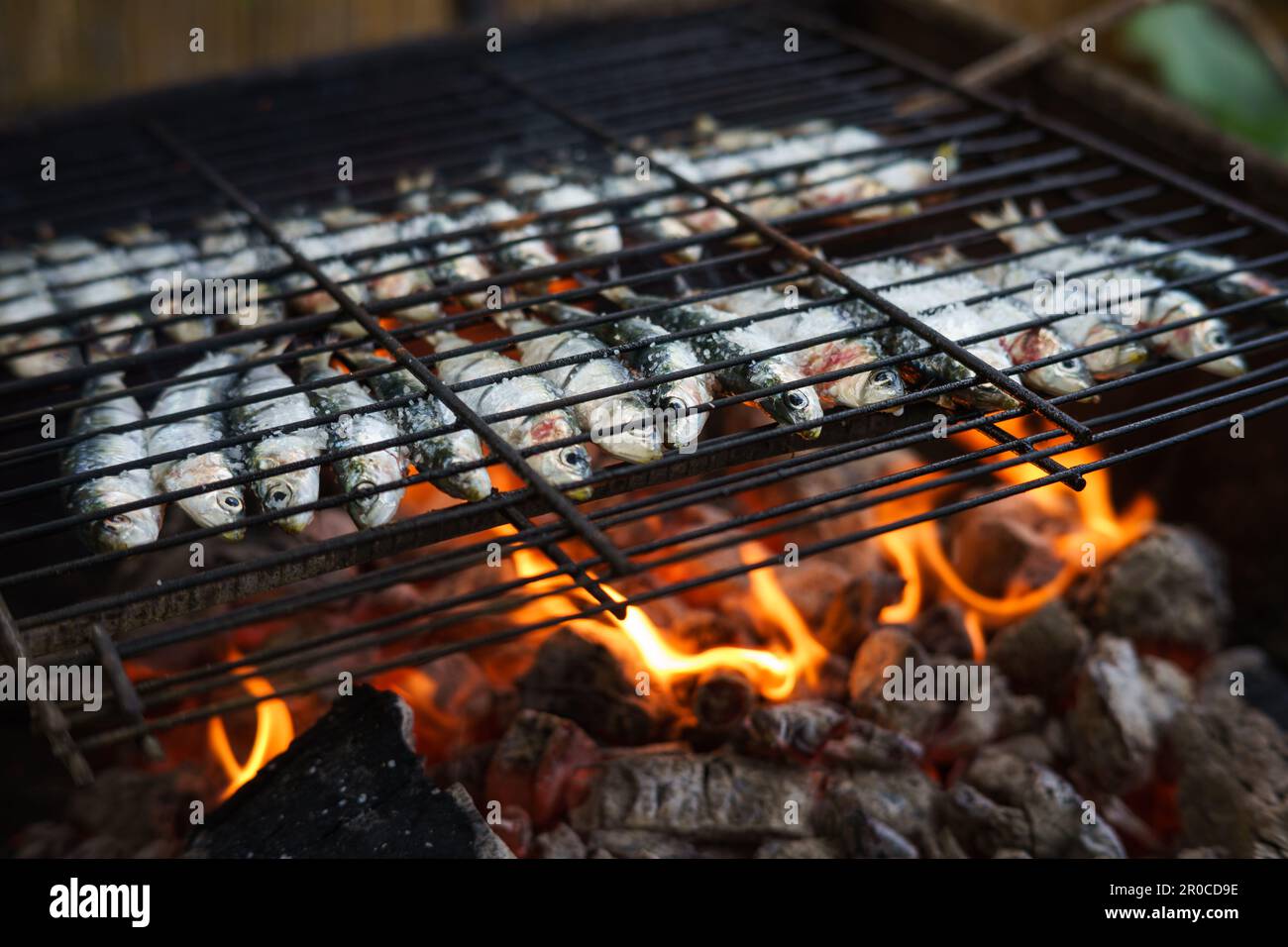 Tasty and healthy fresh fish cooking on the natural charcoal grill ...