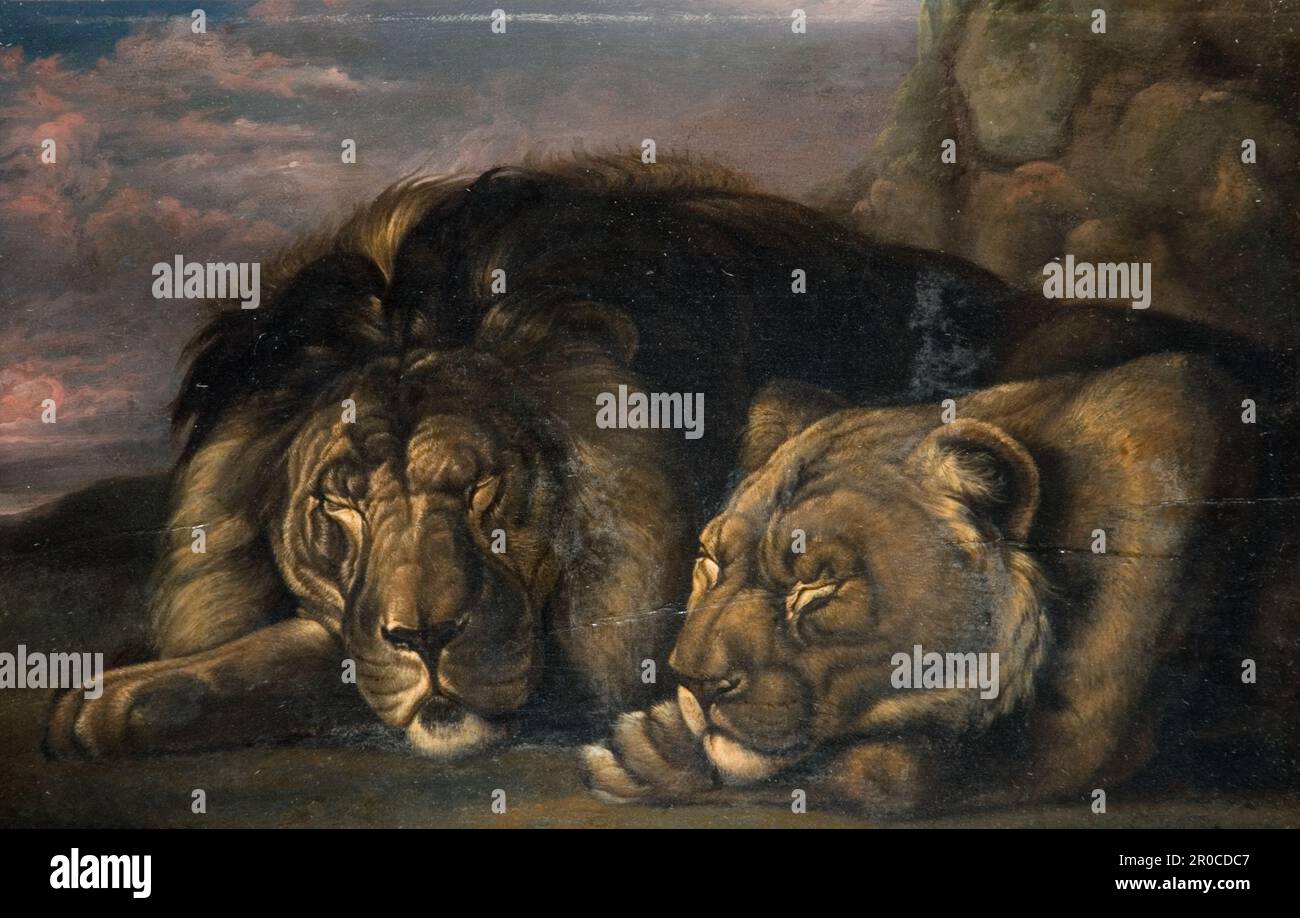 Sleeping Lion and Lioness 1823-1830. Samuel Raven Stock Photo - Alamy