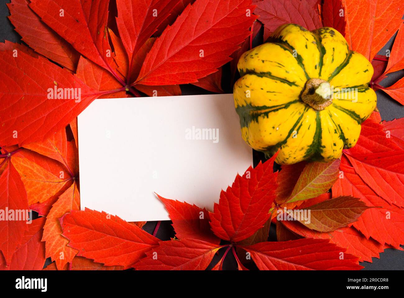 Thanksgiving day mockup template hi-res stock photography and images ...
