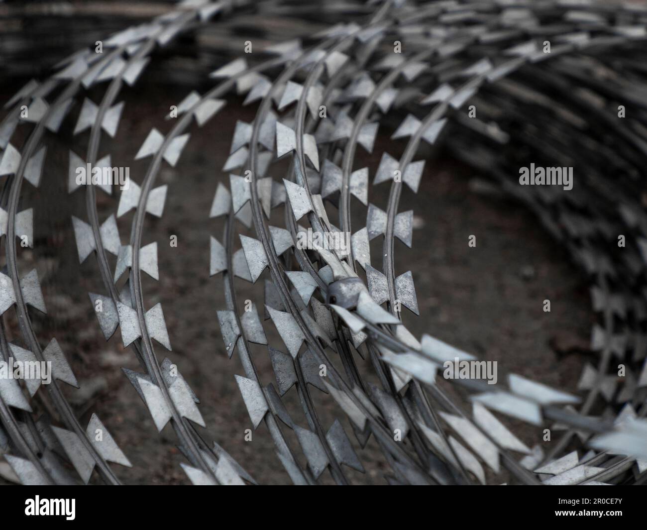 Barbed, razor wire - some coils of barbed wire razor fence Stock Photo ...