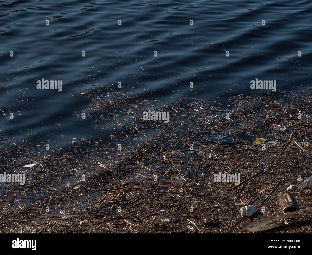 sea water surface with some pollution and contamination (plastic ...
