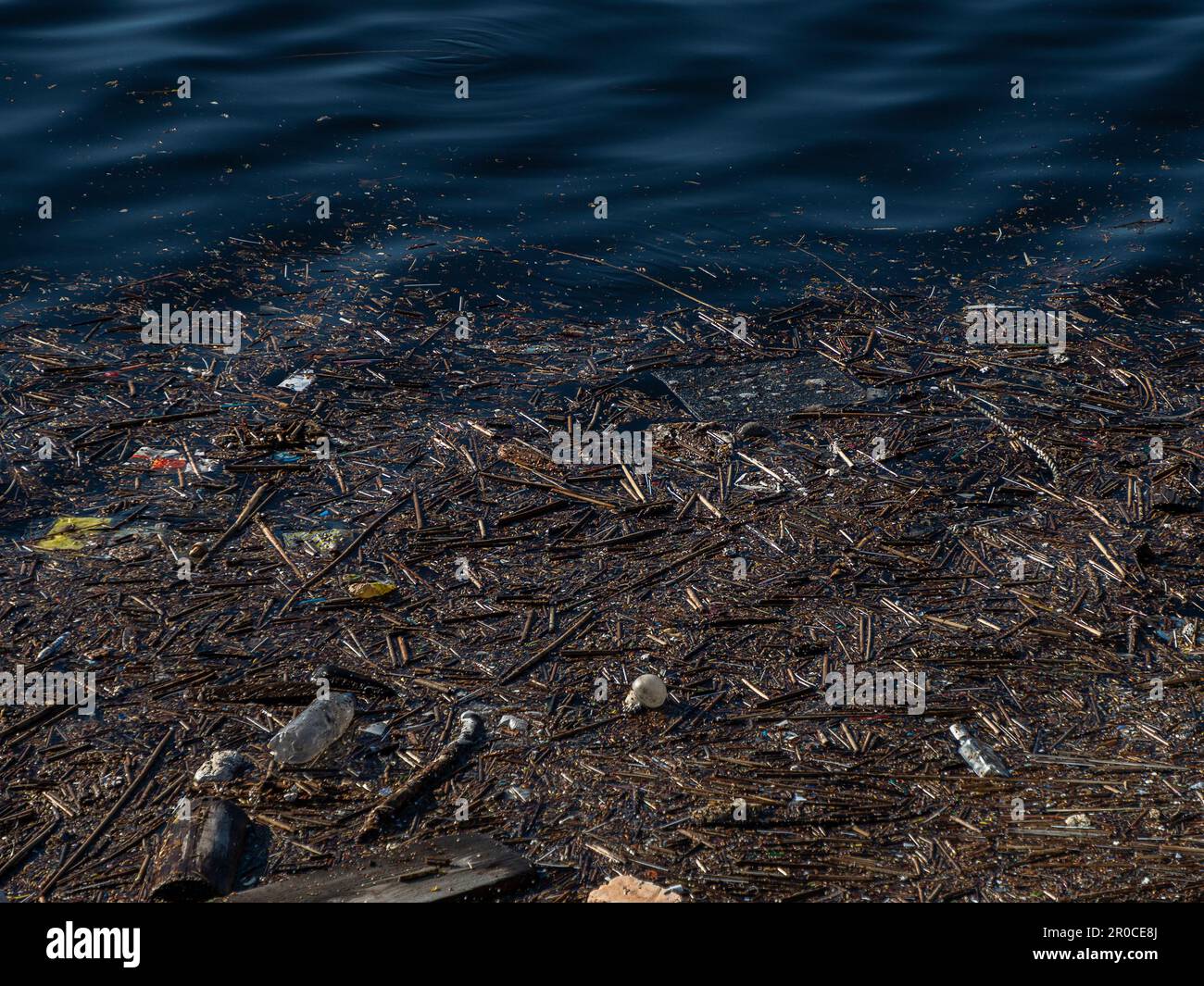 sea water surface with some pollution and contamination (plastic ...
