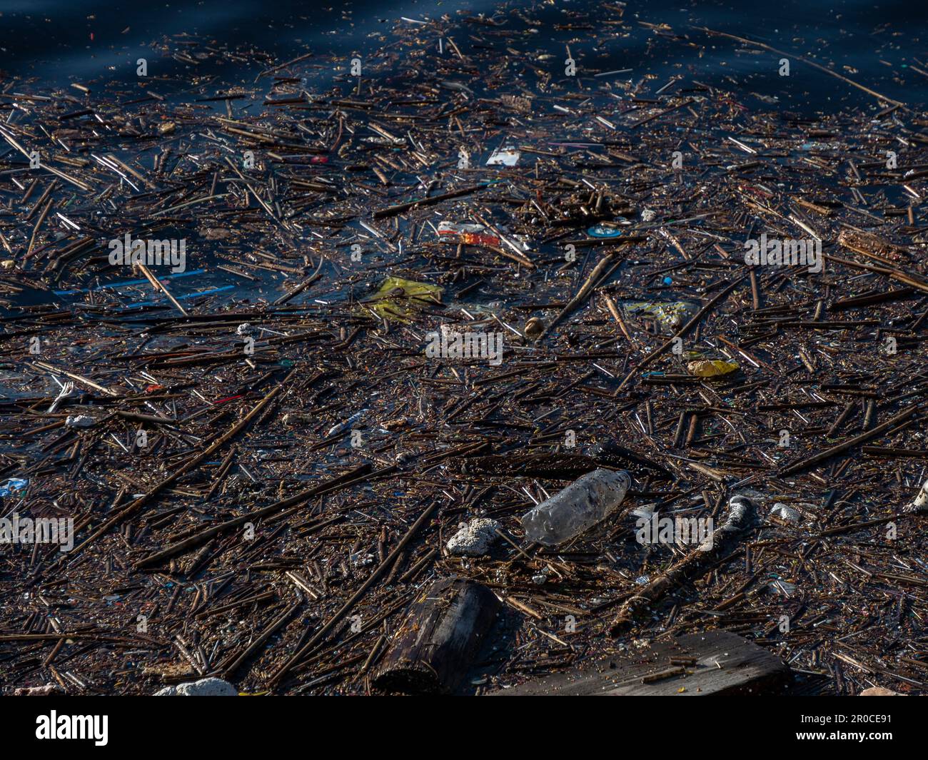 sea water surface with some pollution and contamination (plastic ...