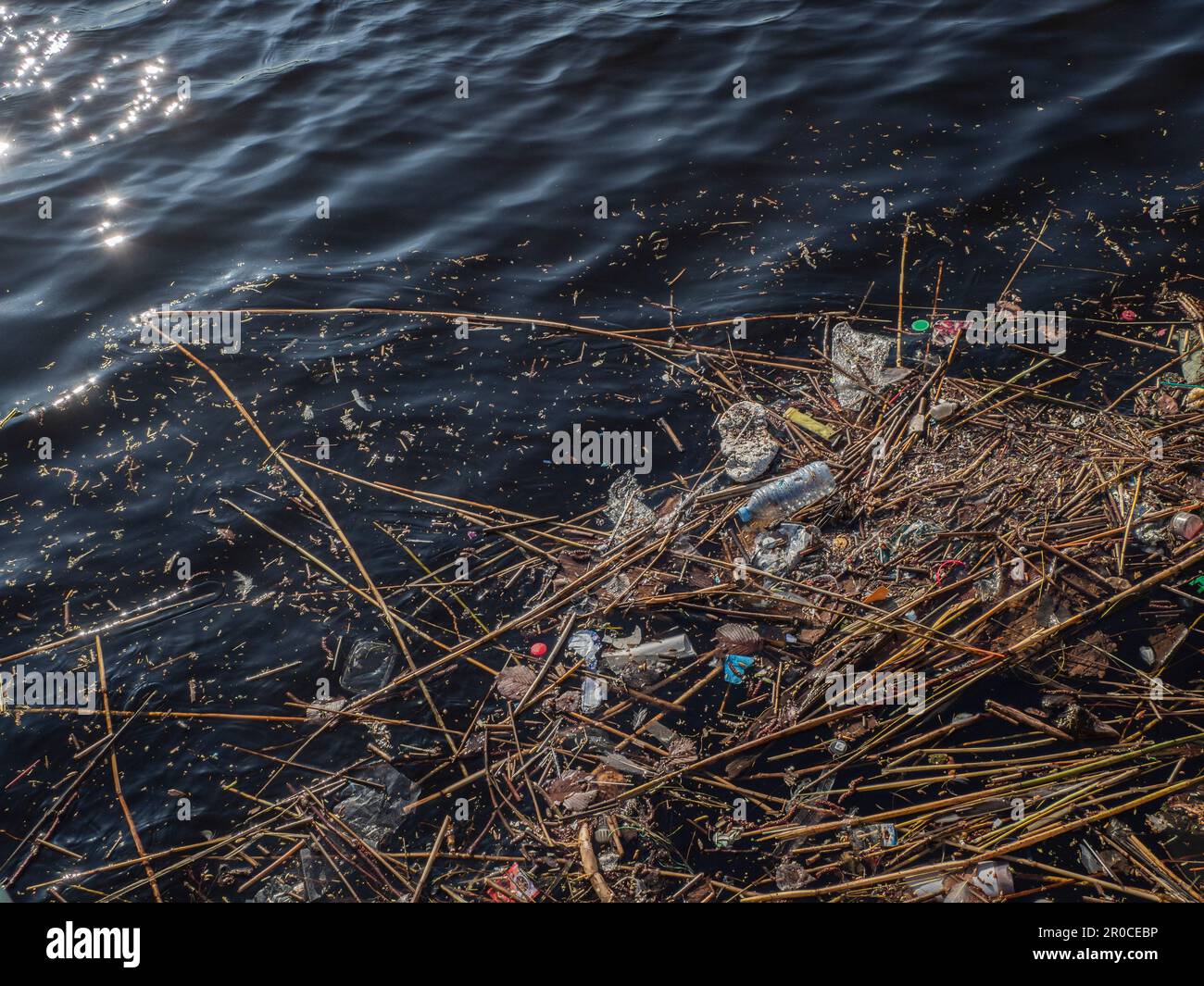 sea water surface with some pollution and contamination (plastic ...