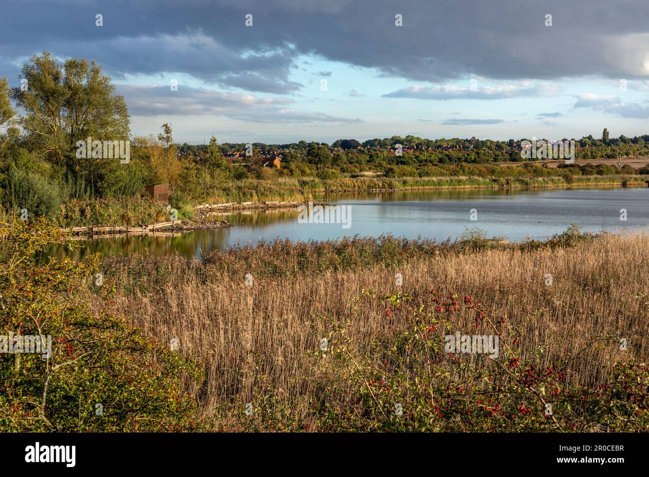 Far Ings Nature Reserve; Pursuit Pit; Lincolnshire; UK Stock Photo - Alamy