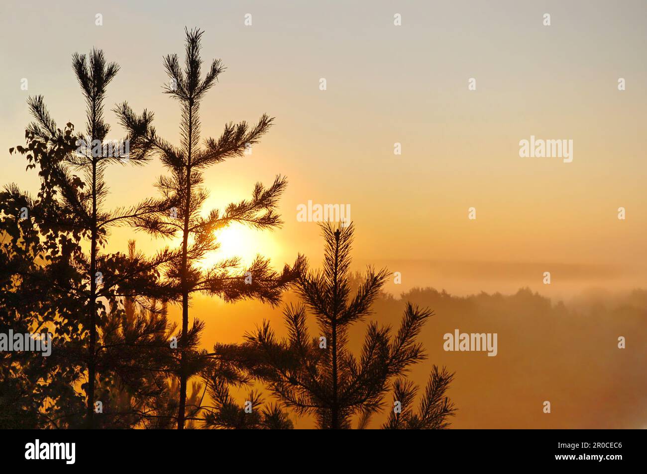 Early mist morning and beautiful sunrise Stock Photo - Alamy