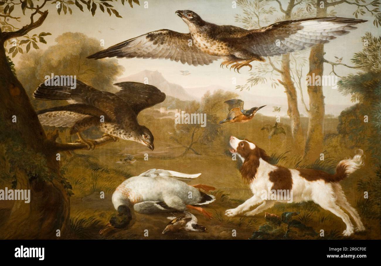 Dog Guarding a Dead Duck From Birds of Prey, 1700-1800. British School ...