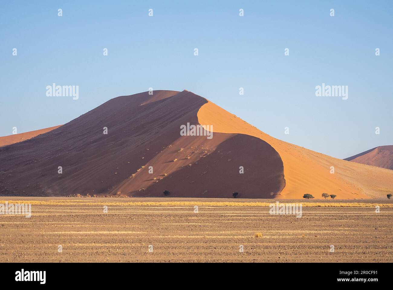 The red sand dunes, Sossusvlei, Namib-Naukluft National Park, Namibia ...