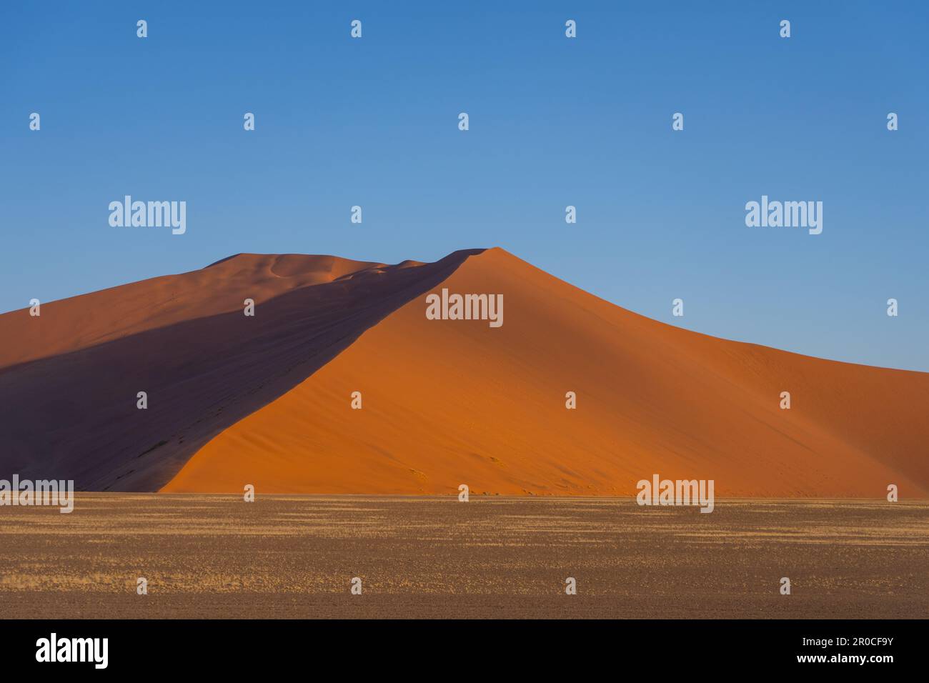 The red sand dunes, Sossusvlei, Namib-Naukluft National Park, Namibia ...