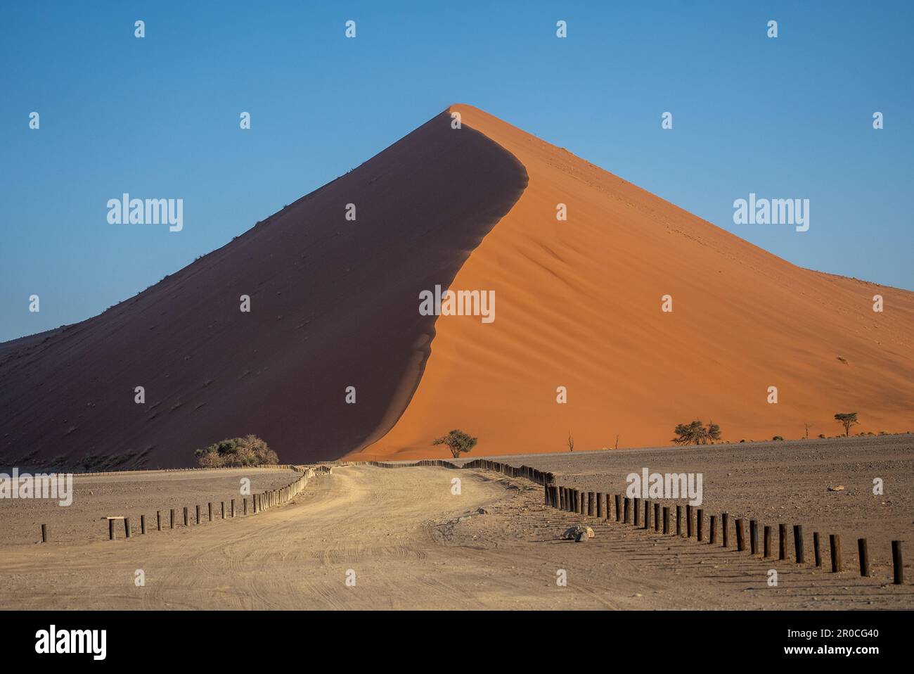 The red sand dunes, Sossusvlei, Namib-Naukluft National Park, Namibia ...