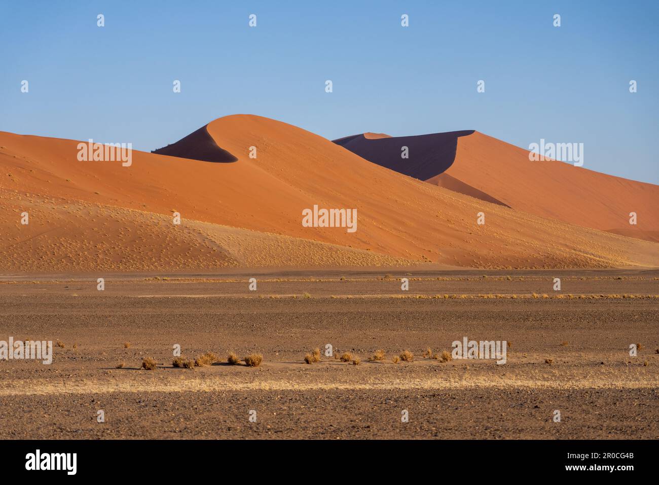 The red sand dunes, Sossusvlei, Namib-Naukluft National Park, Namibia ...