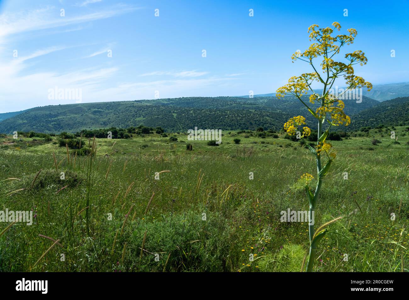 Golan landscape hi-res stock photography and images - Alamy