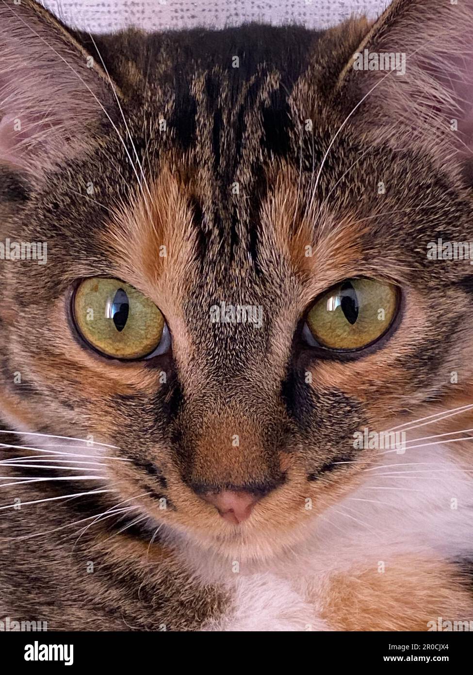 Natural Emerald Eyes