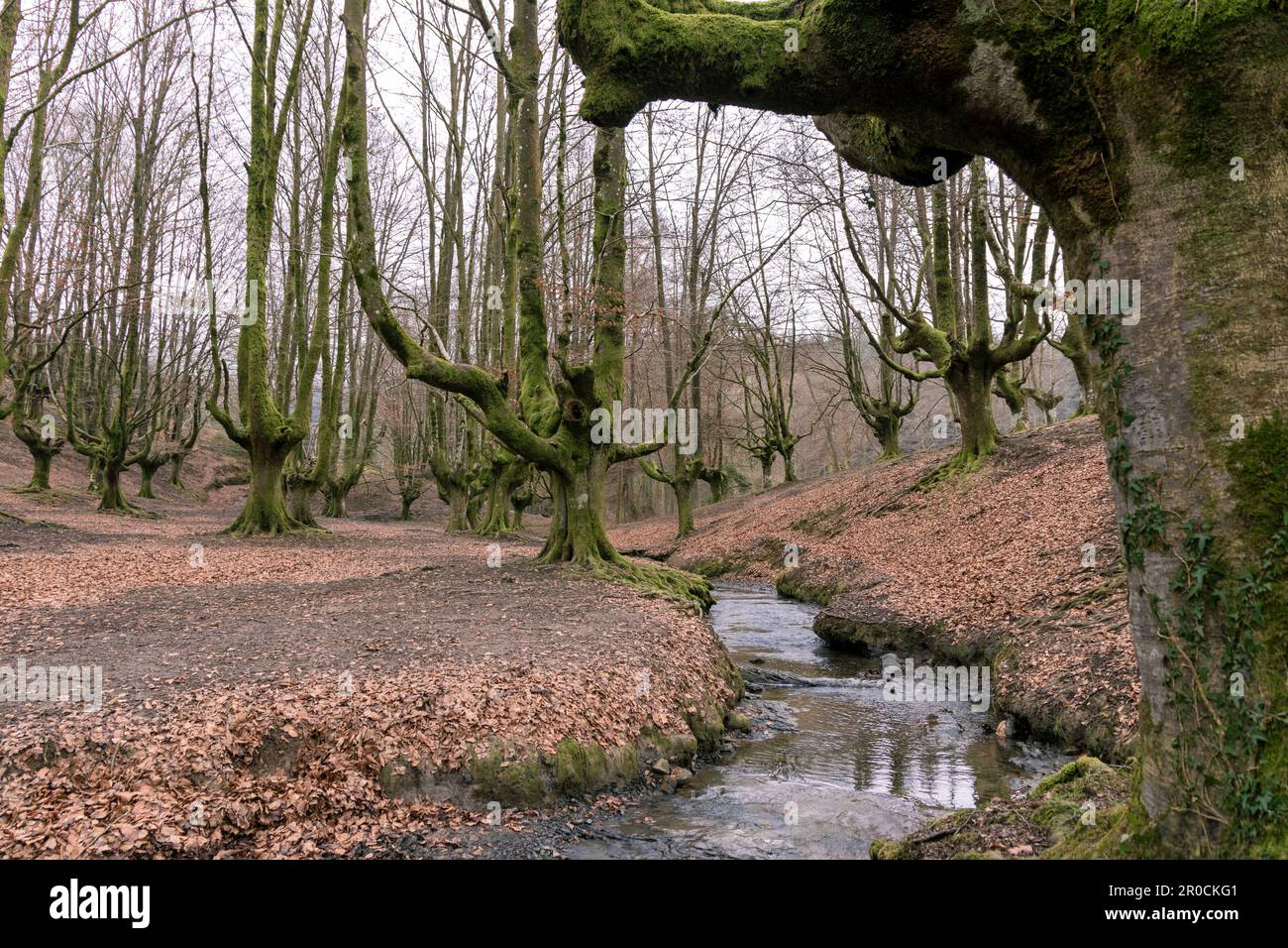 Basque natural wonder hi-res stock photography and images - Alamy
