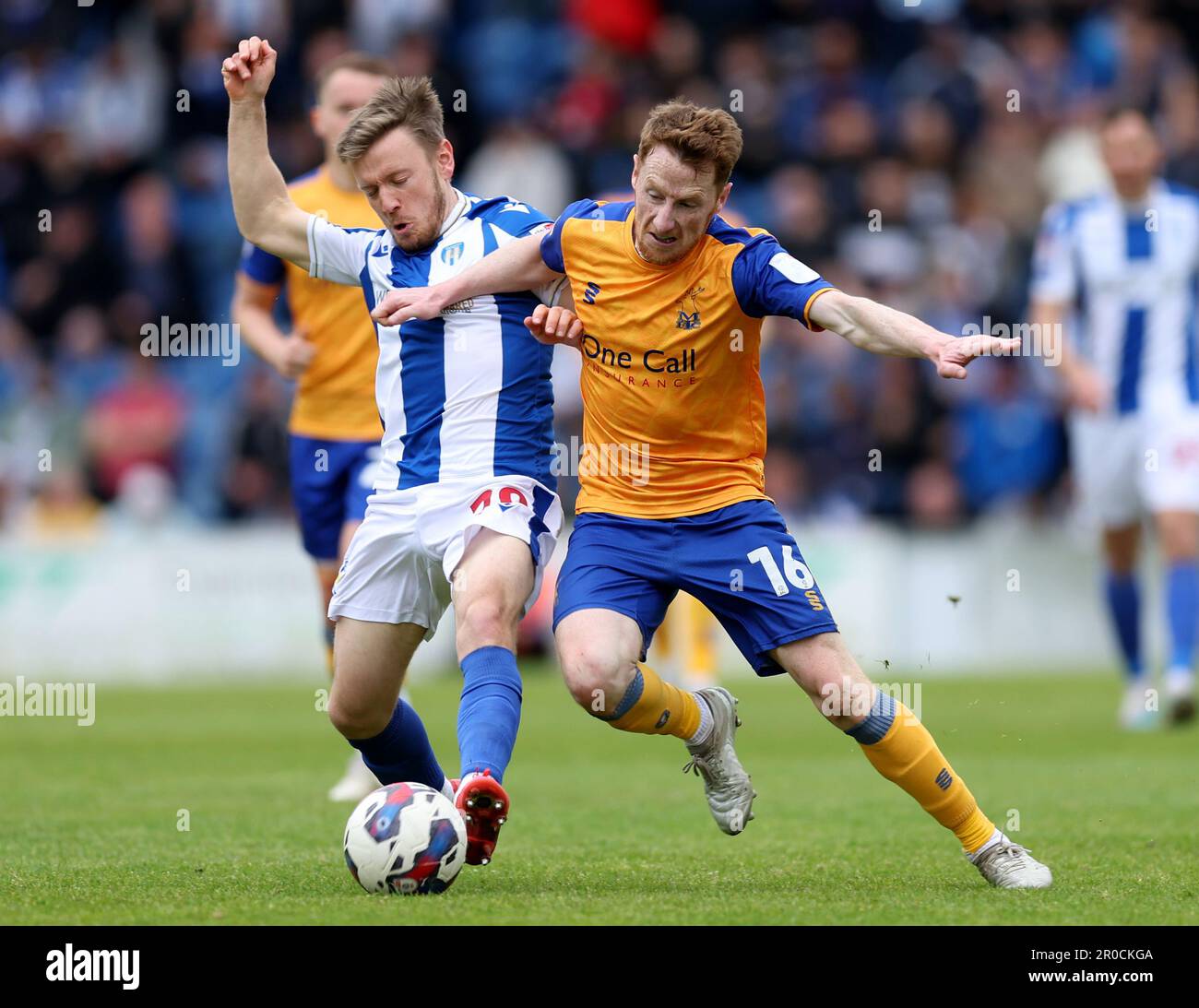 Stephen jay hi-res stock photography and images - Alamy