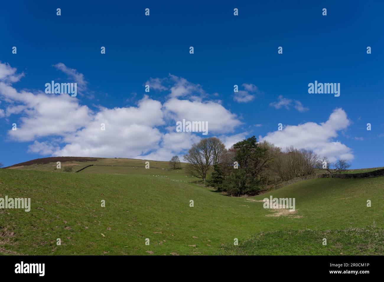 Sunny Spring day in Ladybower Reservoir, Peak District popular outdoor ...
