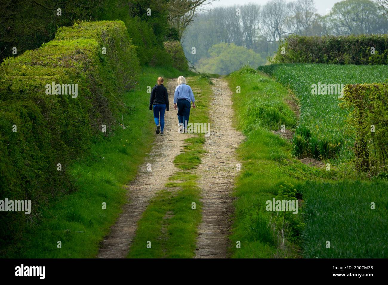 Boudicca way hi-res stock photography and images - Alamy