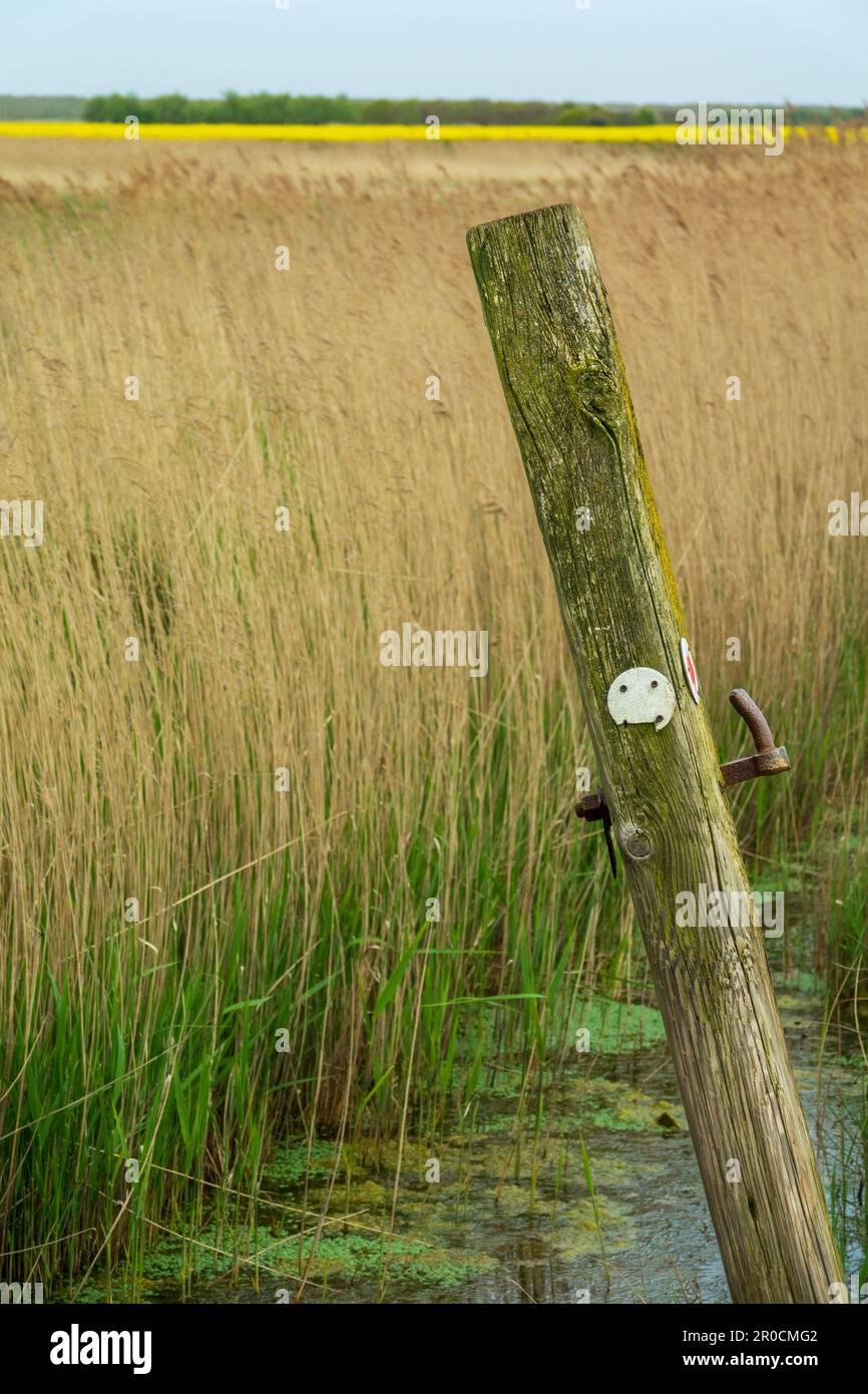 Old gate post hi-res stock photography and images - Alamy