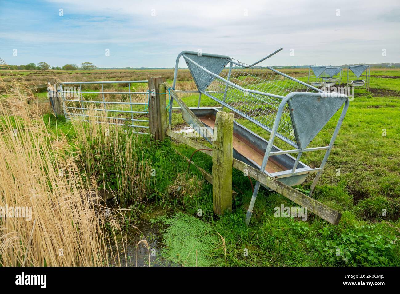 Cattle trough norfolk field hi-res stock photography and images - Alamy