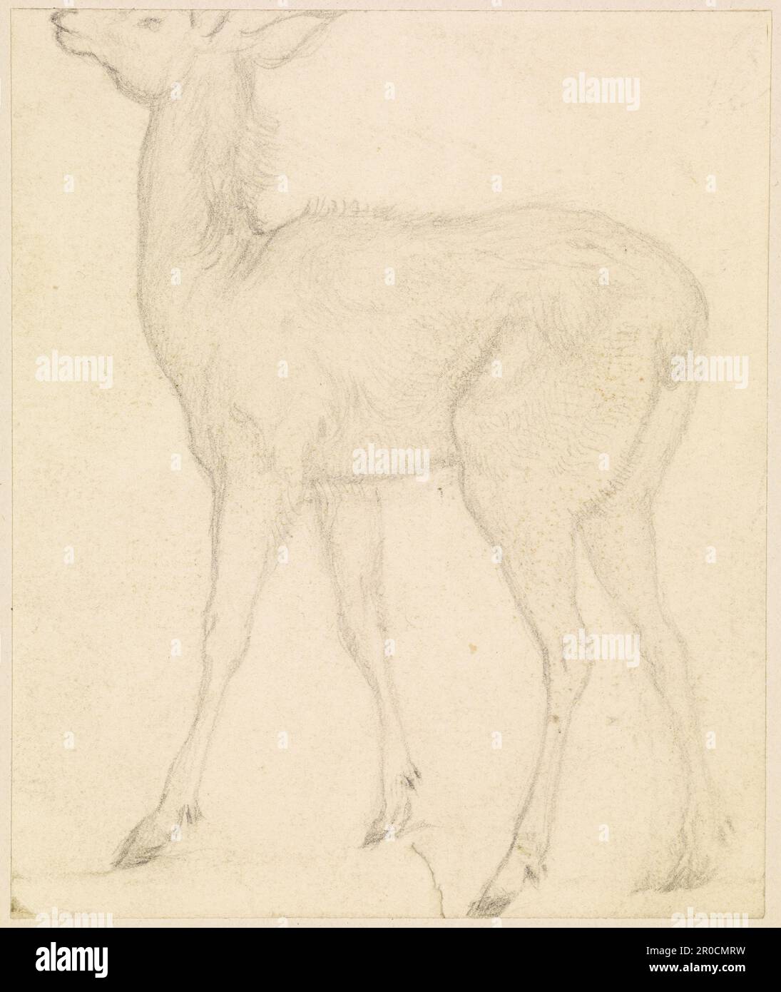 Mary Magdalene at the Door of Simon the Pharisee - Study of a Fawn ...