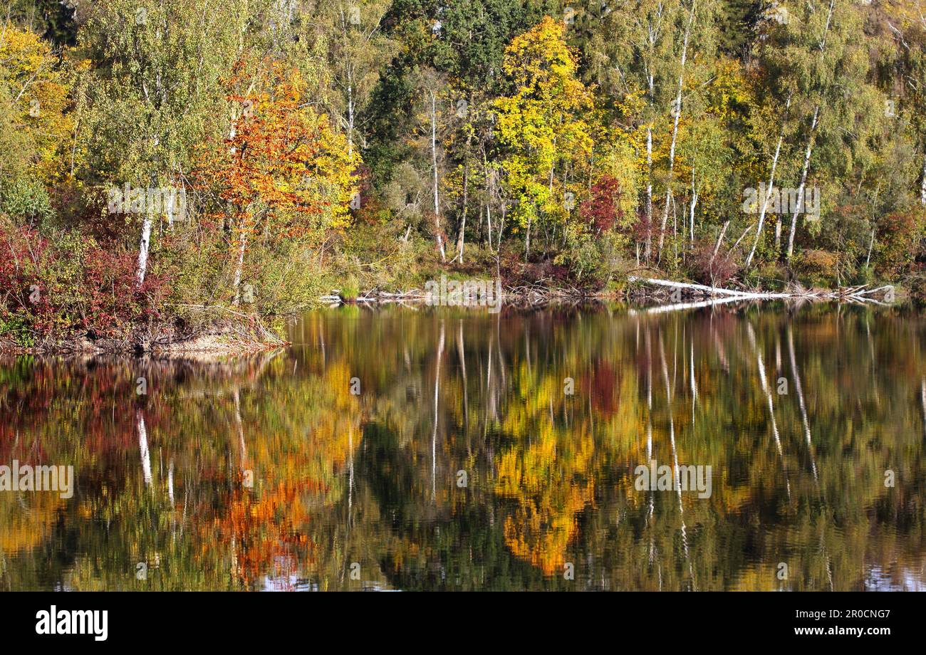 A peaceful pond with water reflecting its natural surroundings at the ...
